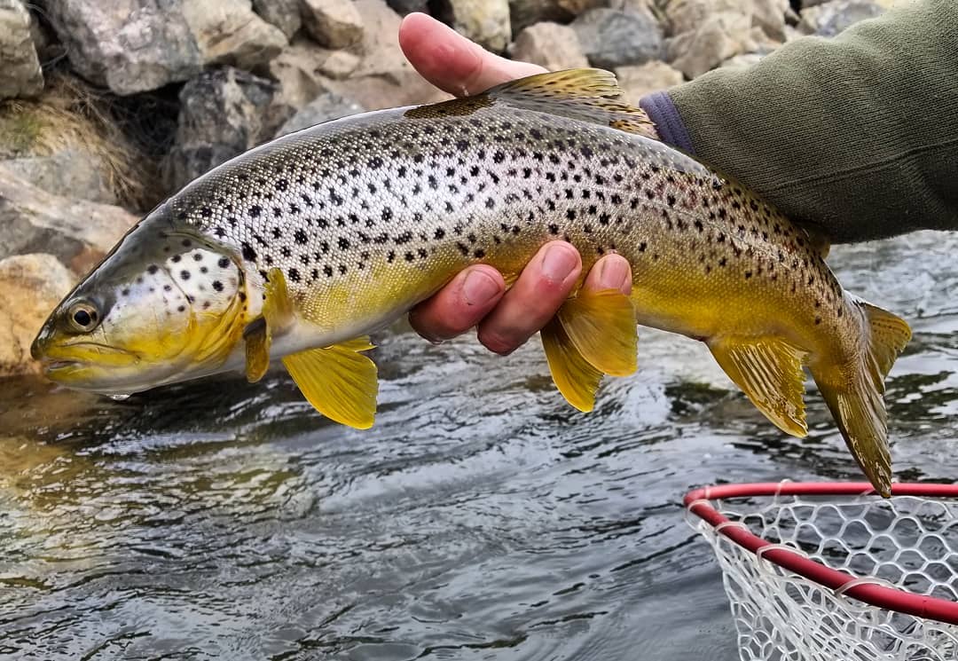 Four summer Indigenous adventures that may surprise you – Indigenous ...