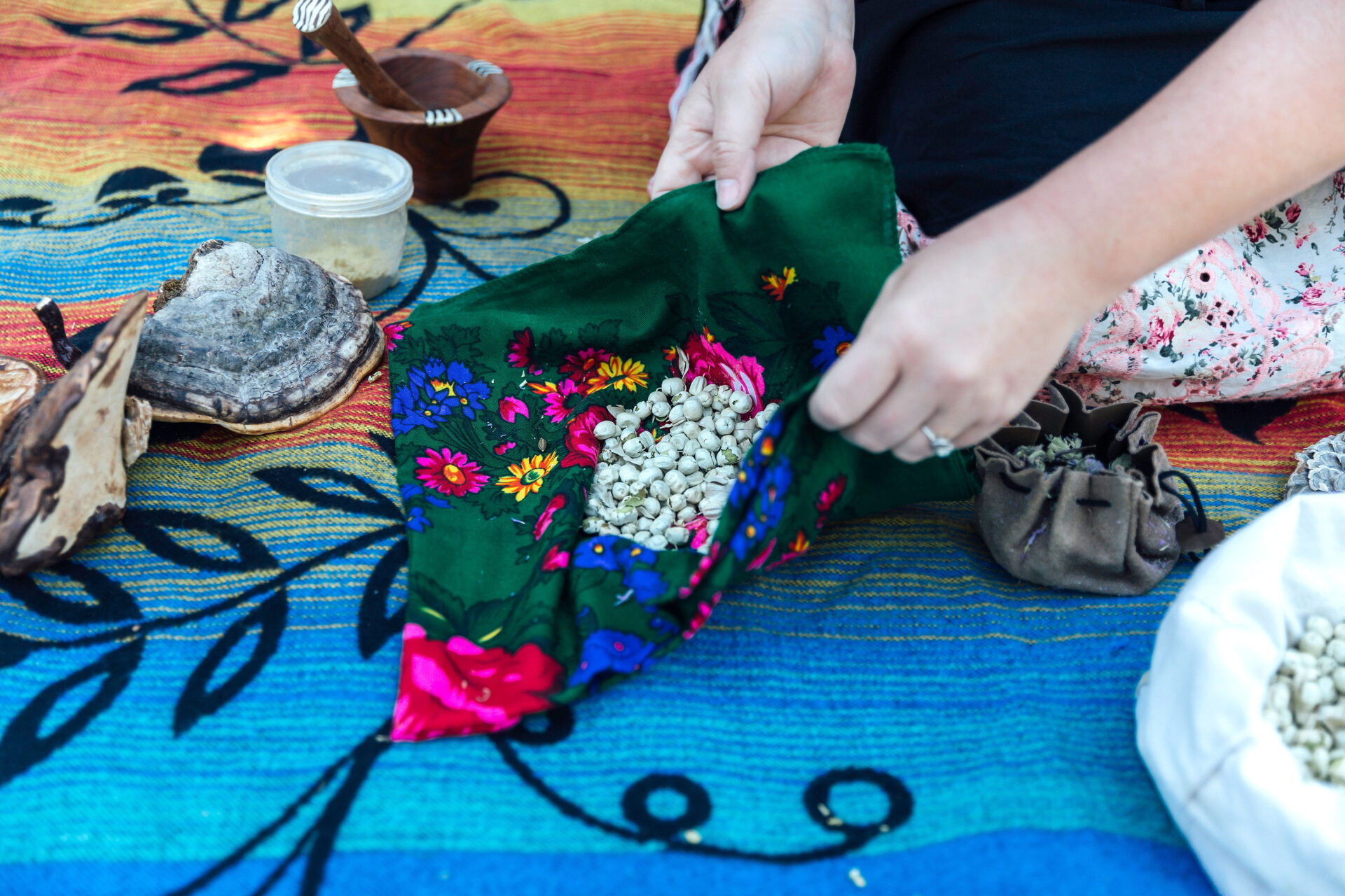 Discover the power of medicinal plants and immerse yourself in Métis ...