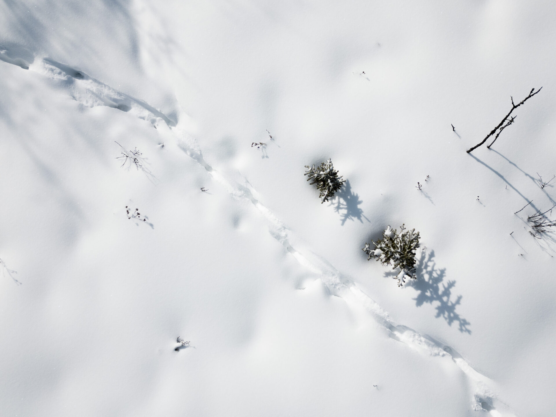 Winter Solstice is a season of medicine for the body and spirit ...