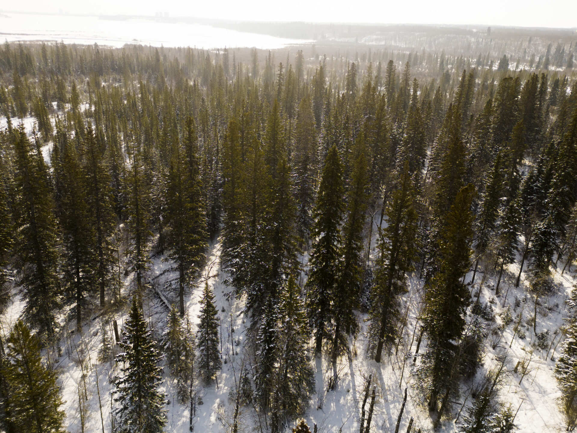 Winter Solstice is a season of medicine for the body and spirit ...